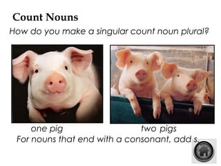 Nounsjurdin | ODP