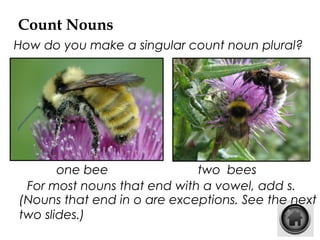 Nounsjurdin | ODP