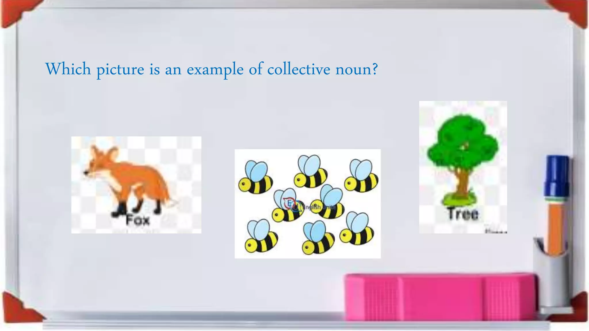 Nouns PPT Nouns PPT