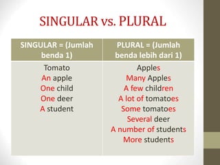 Nouns - Singular/Plural and Countable/Uncountable | PPT
