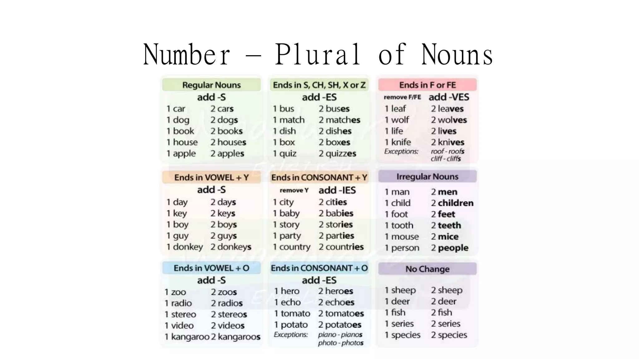 Nouns - Gender, Number | PPTX