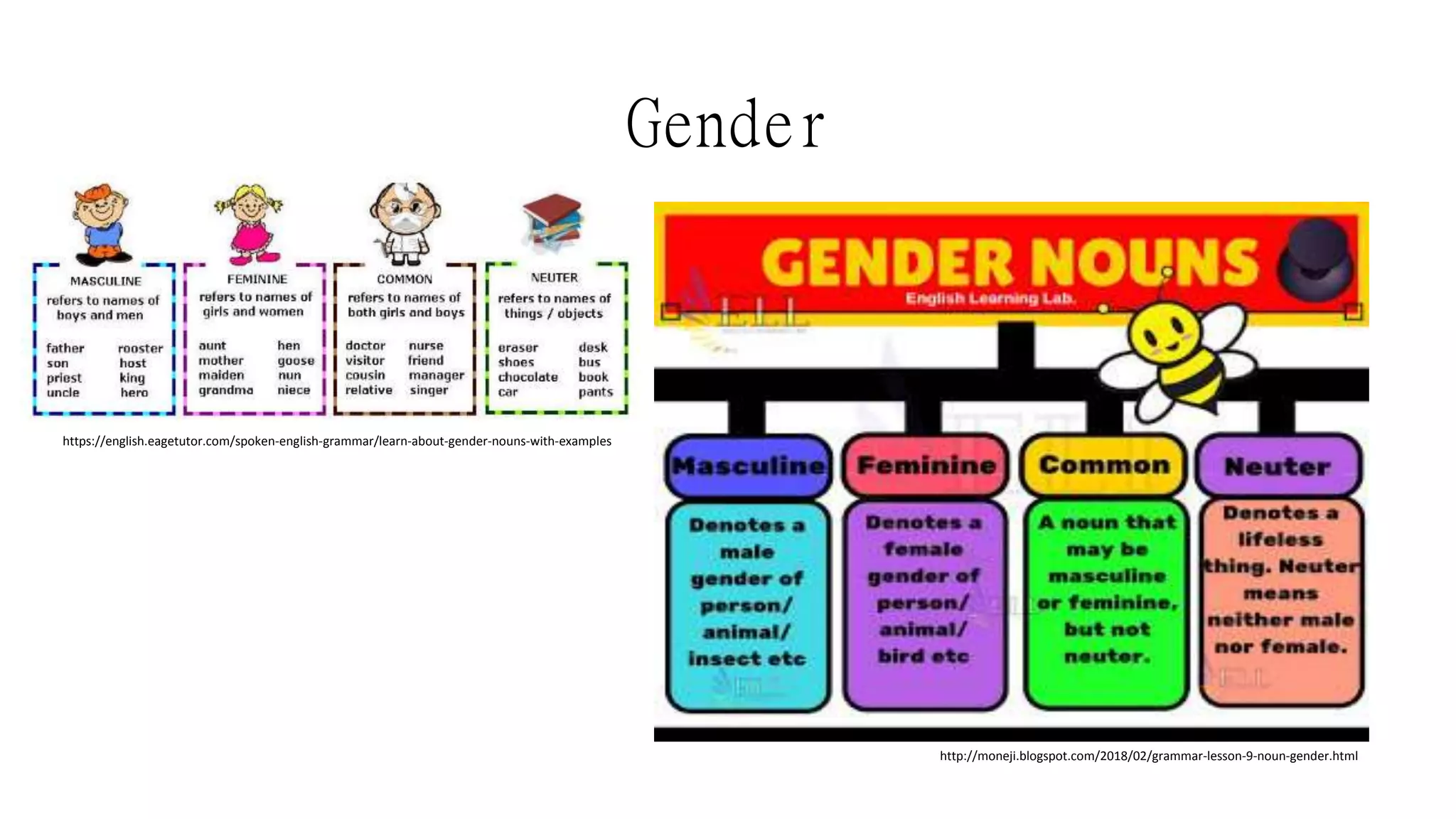 Nouns - Gender, Number | PPTX