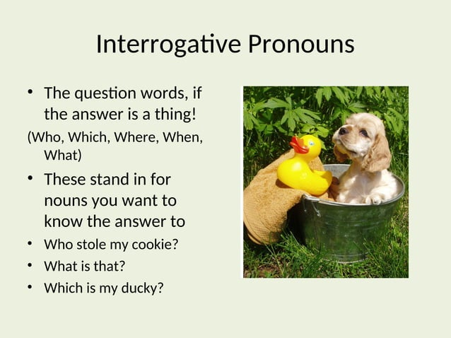 Nouns - Pronoun in English for beginners.ppt