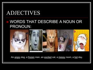 Nouns, Adjectives and Adverbs | PPTX