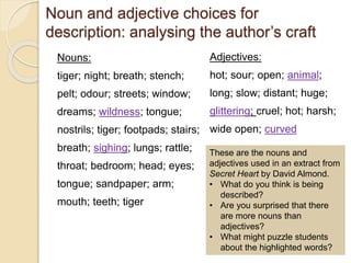 Nouns_and_Adjectives_Teacher_Information.pptx