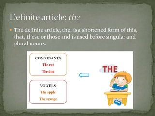 Nouns and articles | PPTX