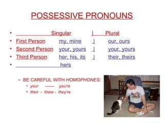 Nouns and pronouns | PPT