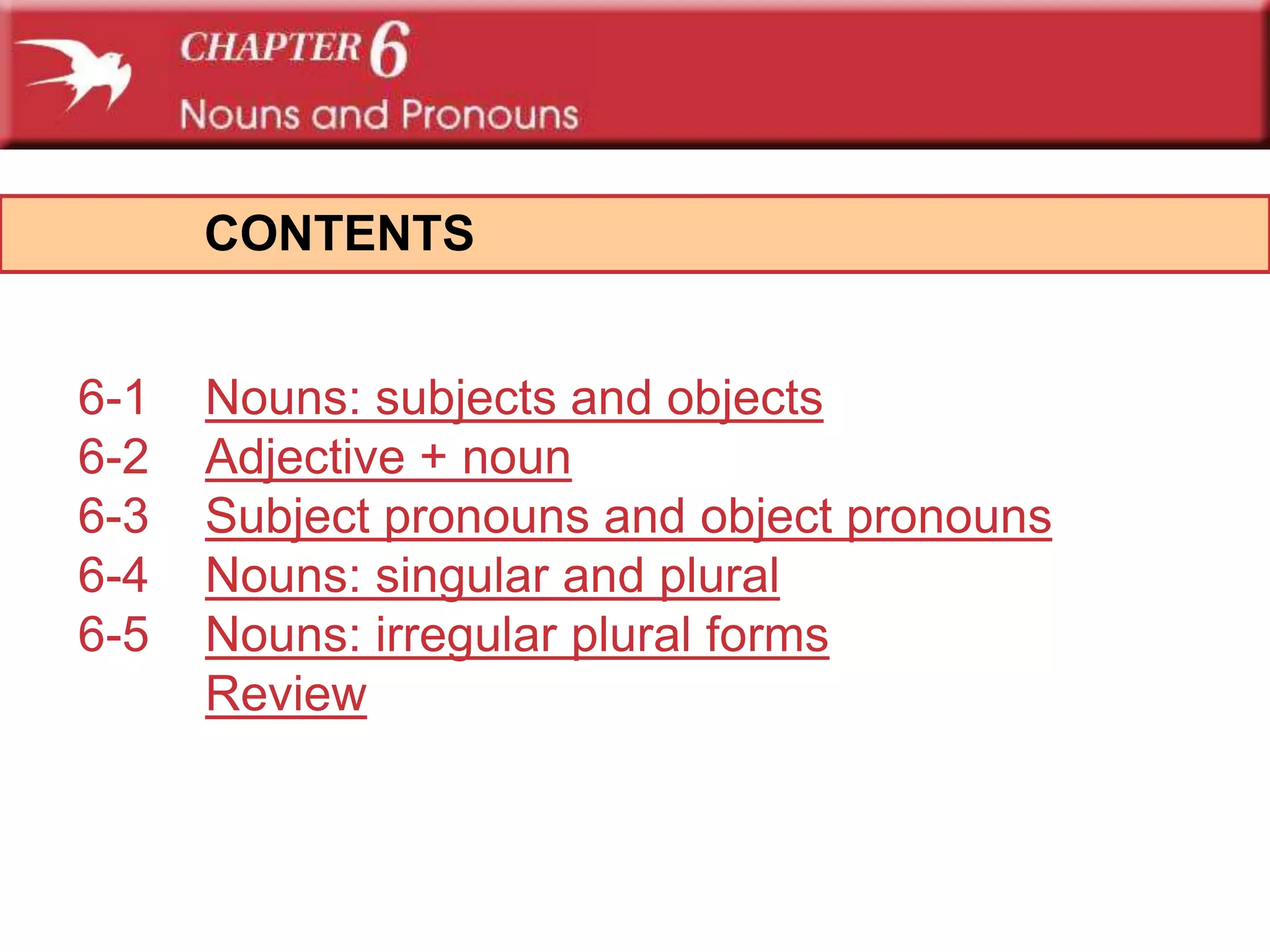 nouns and pronouns.pptx