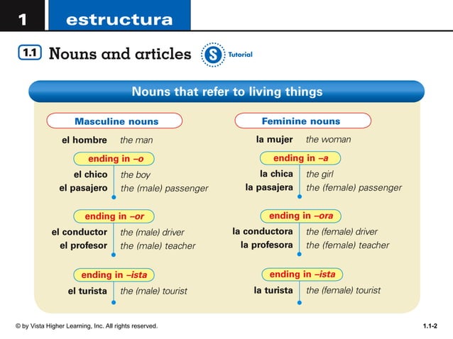 Nouns and articles english presentationd | PPT