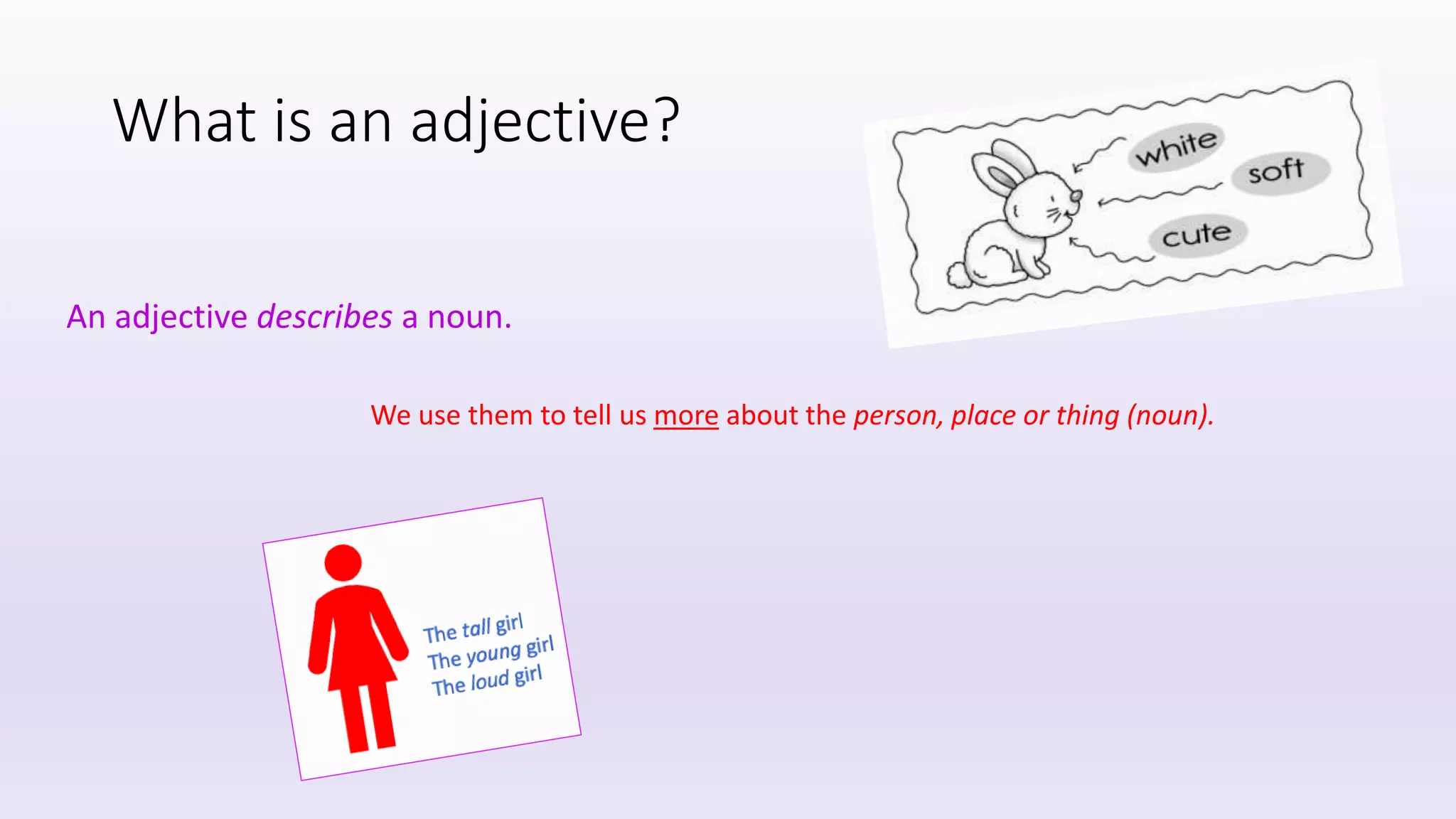 Nouns as adjectives | PPTX