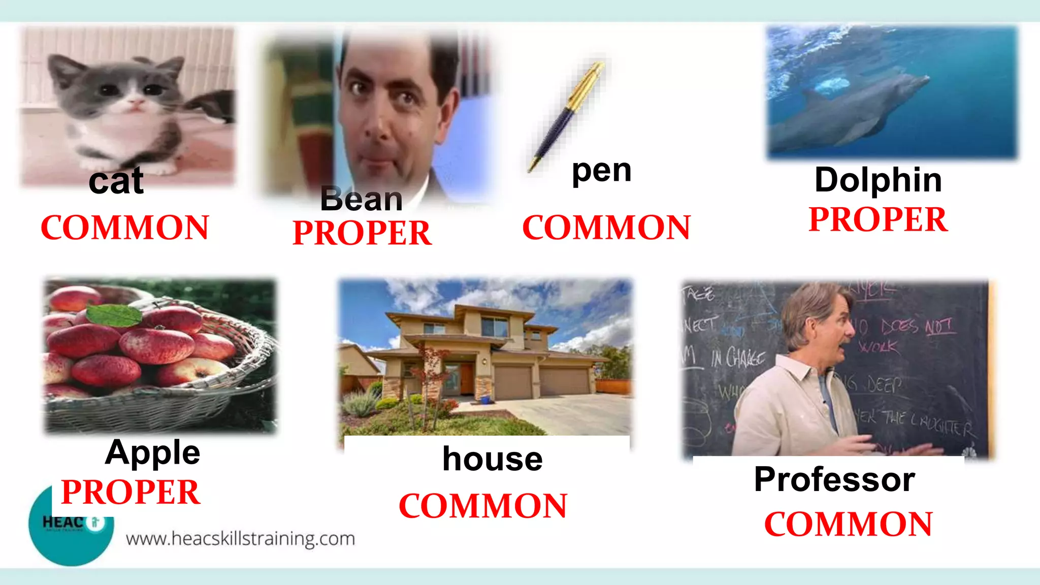 NOUNS (common and proper).pptx