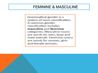 Nouns gender | PPTX