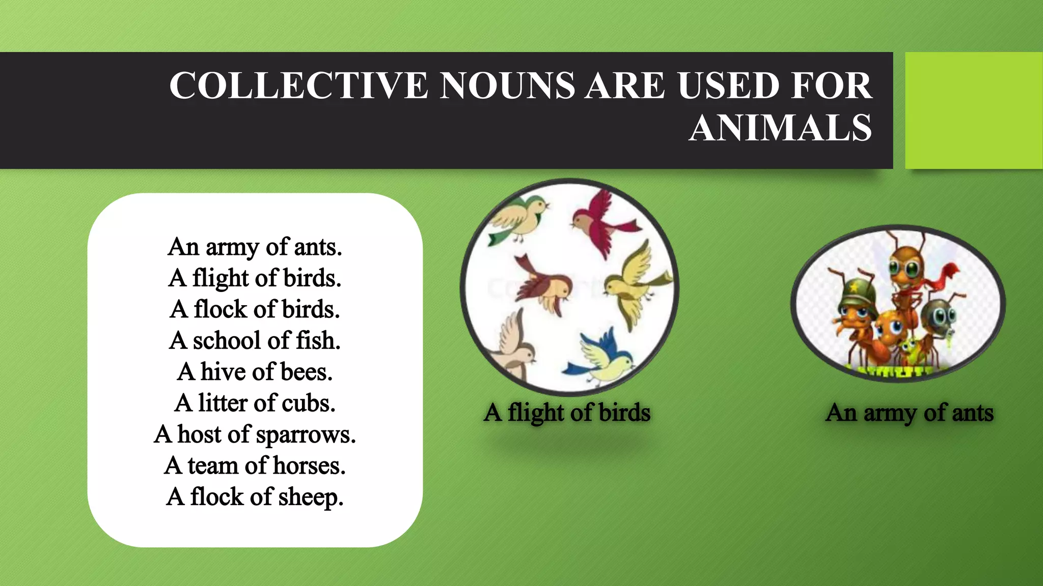 Nouns grammar | PPTX | Chemistry | Science