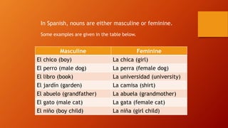Spanish Lesson - Lesson 1: Nouns | PPTX