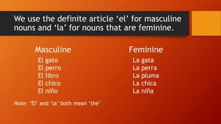 Spanish Lesson - Lesson 1: Nouns | PPTX