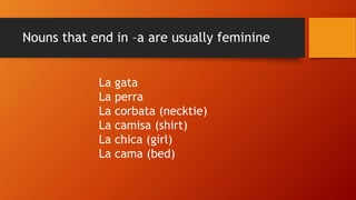 Spanish Lesson - Lesson 1: Nouns | PPTX