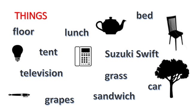Nouns Introduction | PPTX