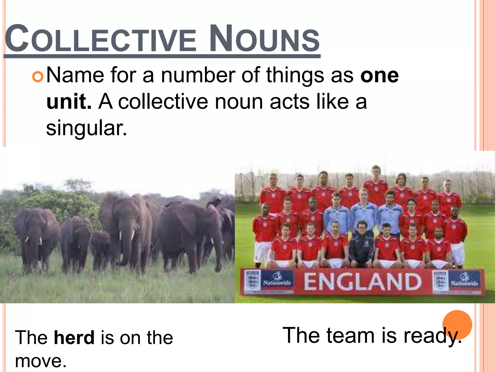 What are nouns and types of nouns. | PPTX