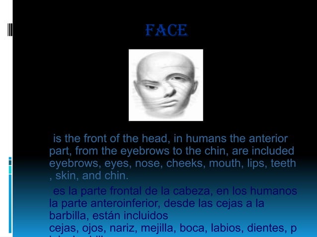 Nouns – parts of the body | PPTX | Ear, Nose and Throat Conditions ...