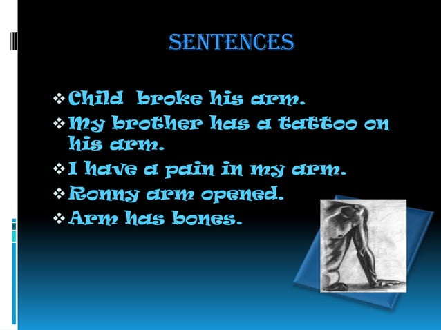 Nouns – parts of the body | PPTX | Ear, Nose and Throat Conditions ...