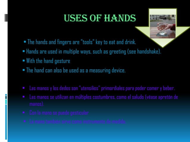 Nouns – parts of the body | PPTX | Ear, Nose and Throat Conditions ...