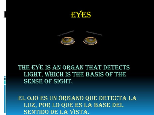 Nouns – parts of the body | PPTX | Ear, Nose and Throat Conditions ...