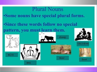 Nouns ppt | PDF