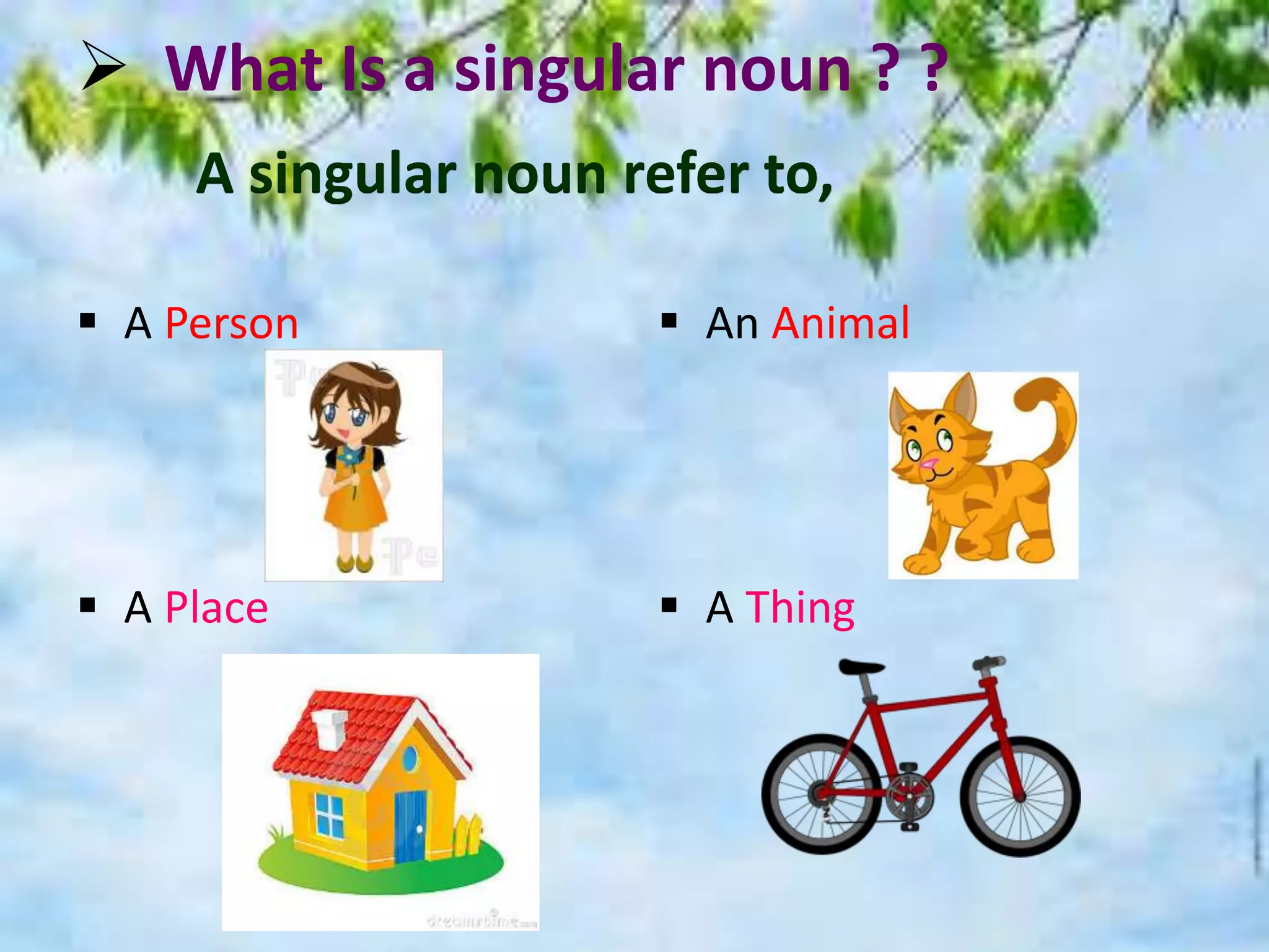Nouns ppt | PPT