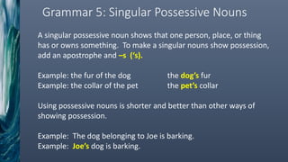 Nouns Unit 2 | PPTX | Dogs | Pets