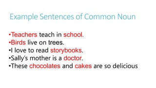 Noun and its types with examples .pptx
