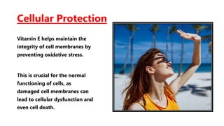Nourish your cells with VIT E HARD FACTS : Dr Sharda Jain | PPTX