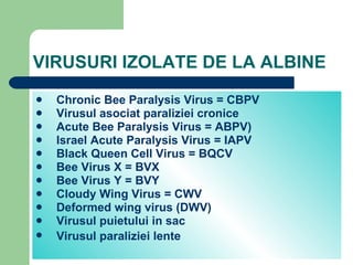 Noutati in bolile virale la albine conf. univ. dr. danut turcu | PPT