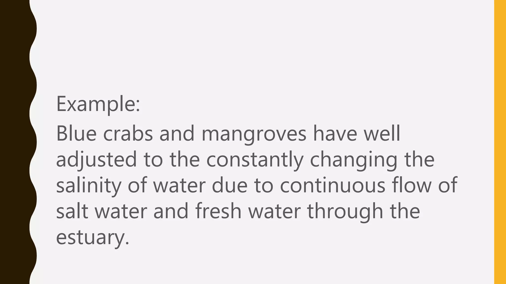 interactions among living things in estuary | PPTX