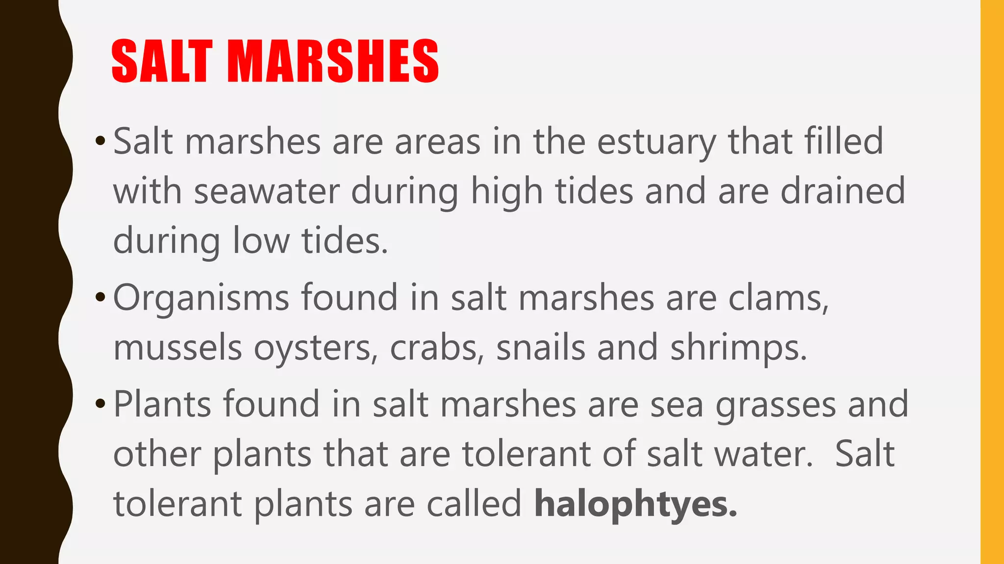 interactions among living things in estuary | PPTX