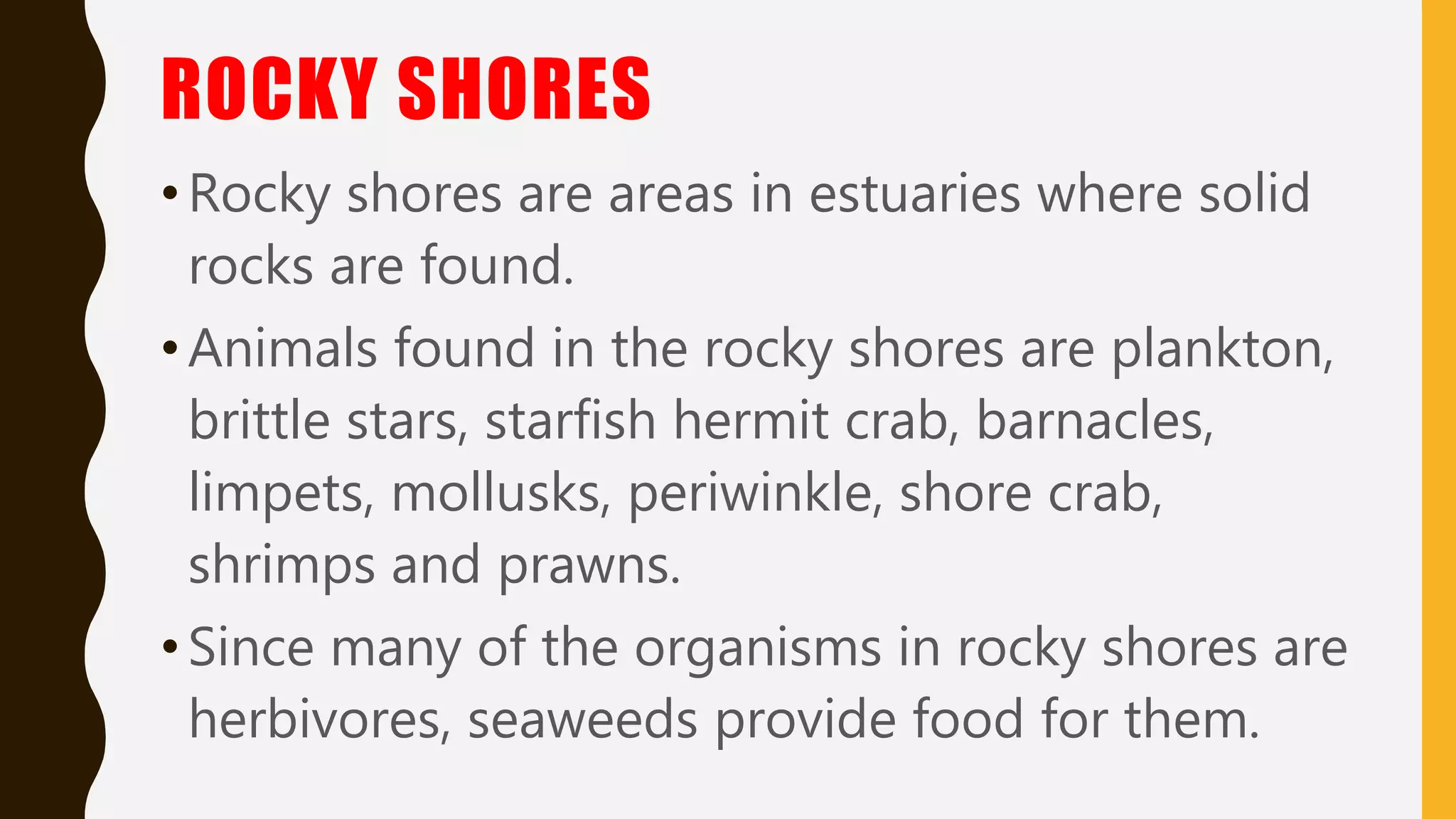 interactions among living things in estuary | PPTX