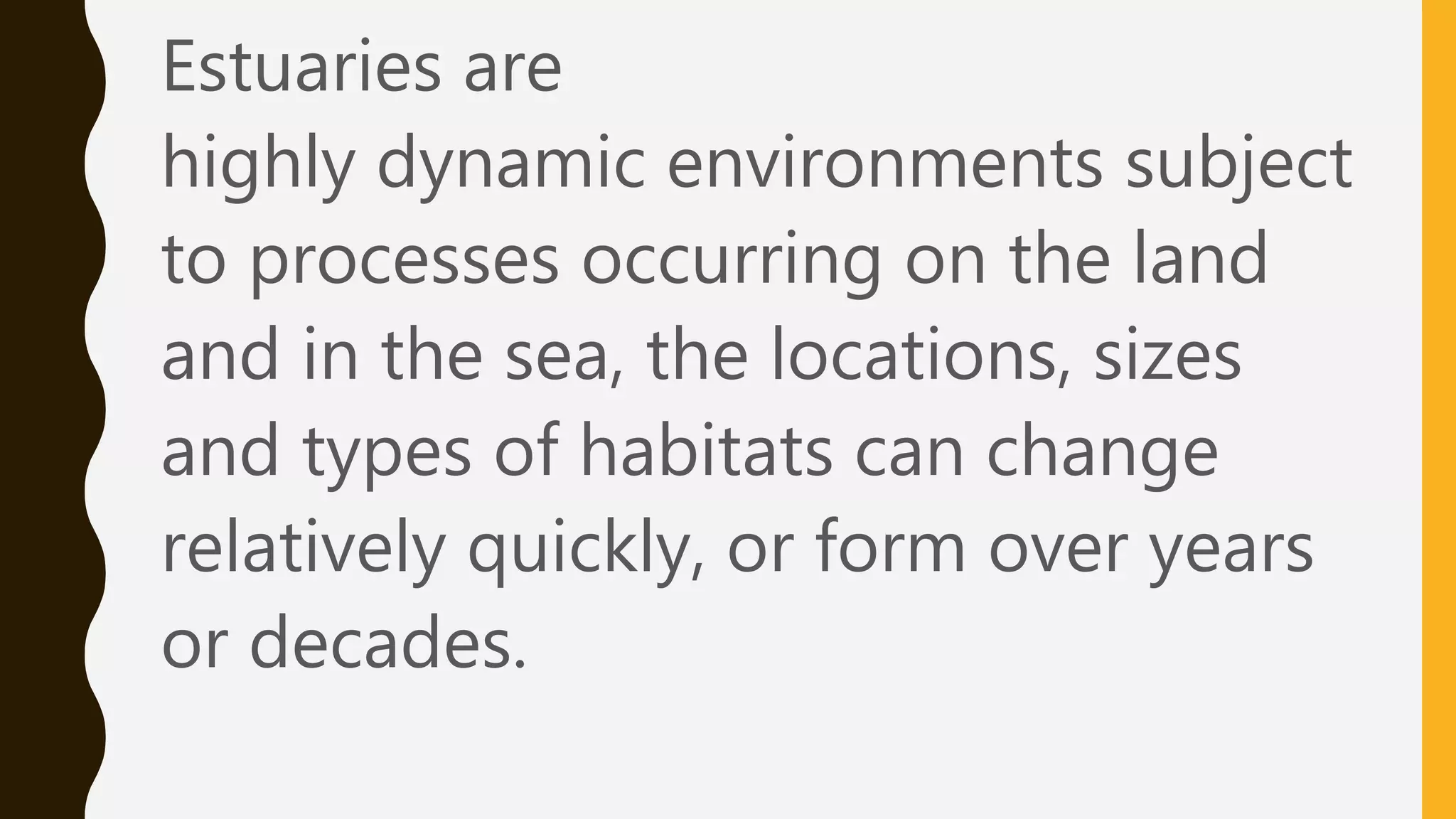 interactions among living things in estuary | PPTX