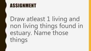interactions among living things in estuary | PPTX