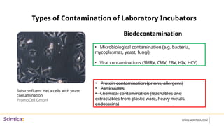 Reduce and Prevent Contamination in Tissue and Cell Culture ...