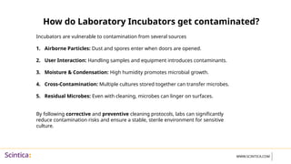 Reduce and Prevent Contamination in Tissue and Cell Culture ...