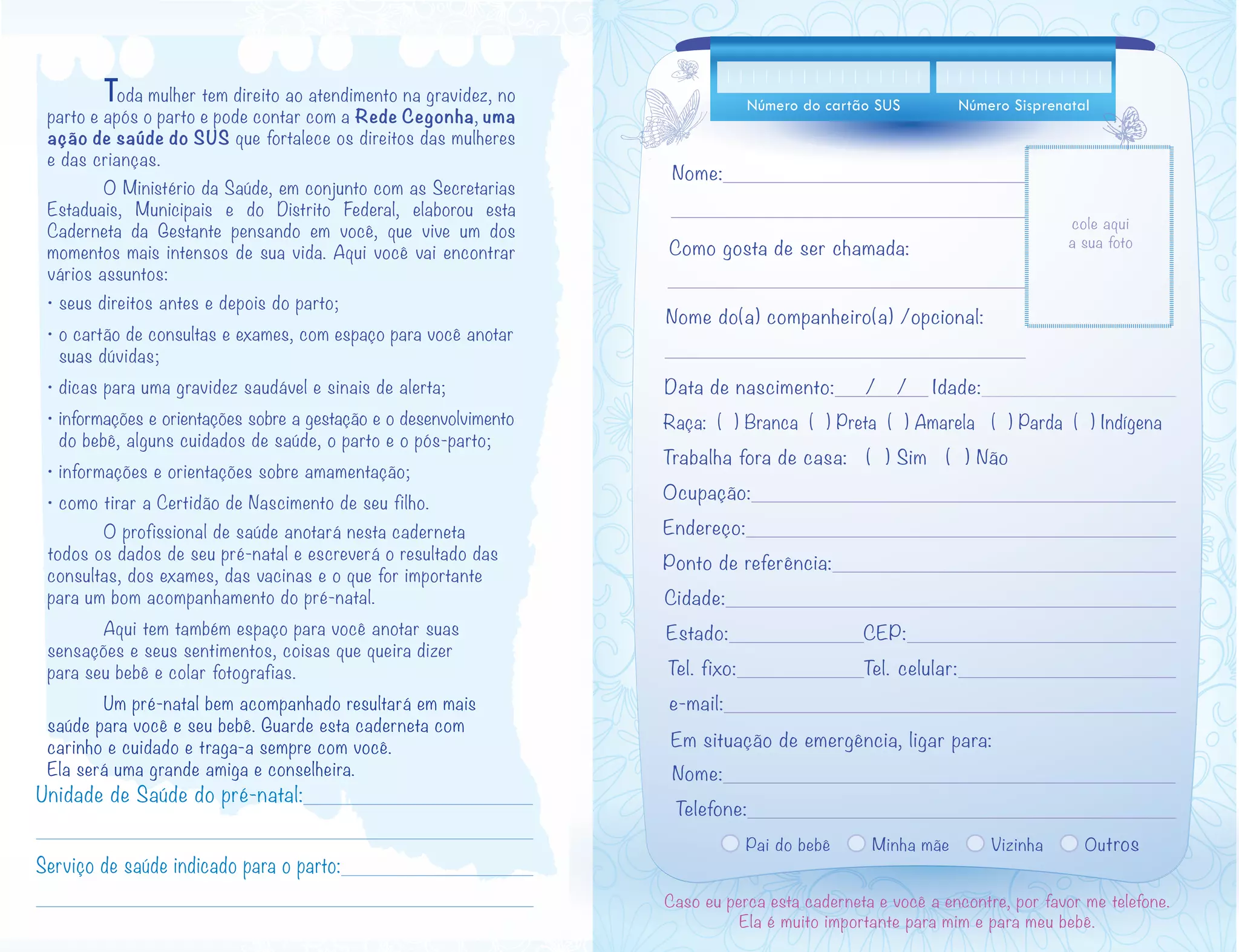 Nova CADERNETA da GESTANTE - Ministério da Saúde | PDF