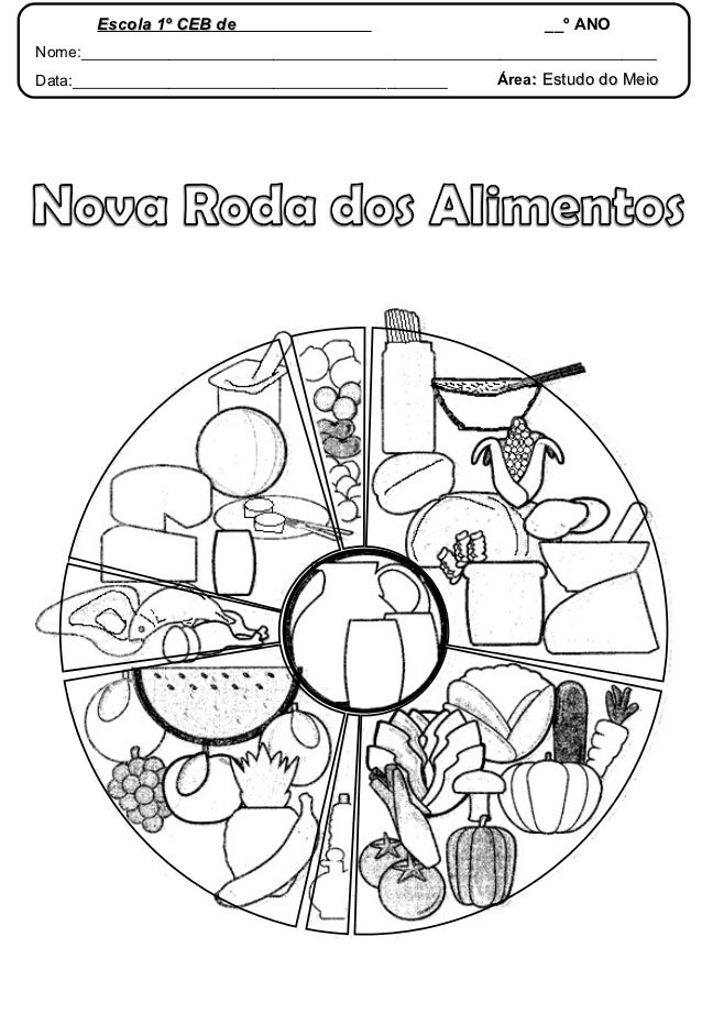 Nova roda dos alimentos