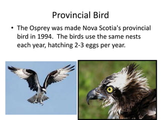 Nova Scotia | PPTX