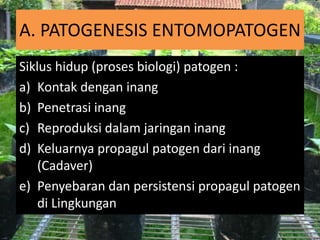 Pengendalian Hayati | PPSX