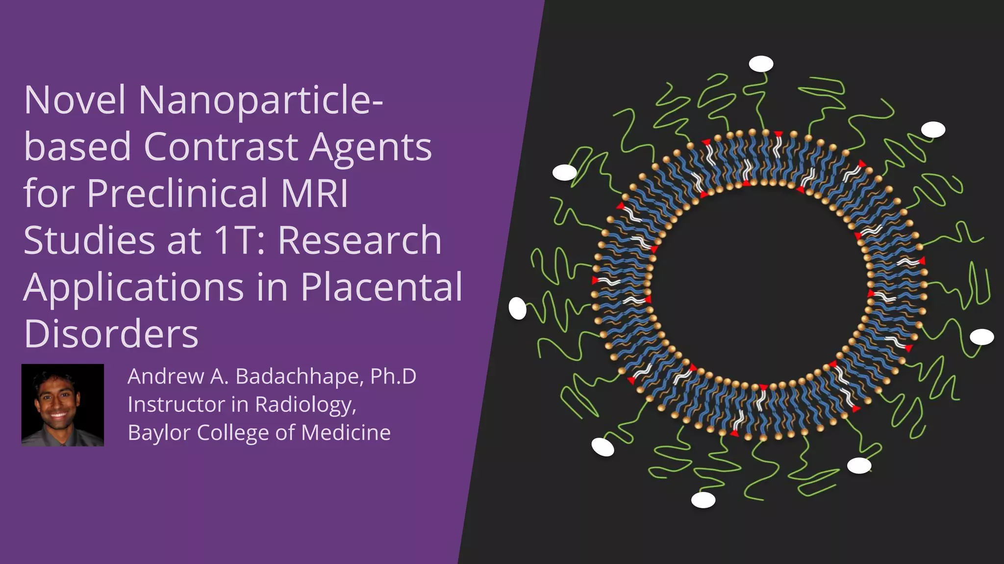 Novel Nanoparticle-based Contrast Agents for Preclinical MRI Studies at ...
