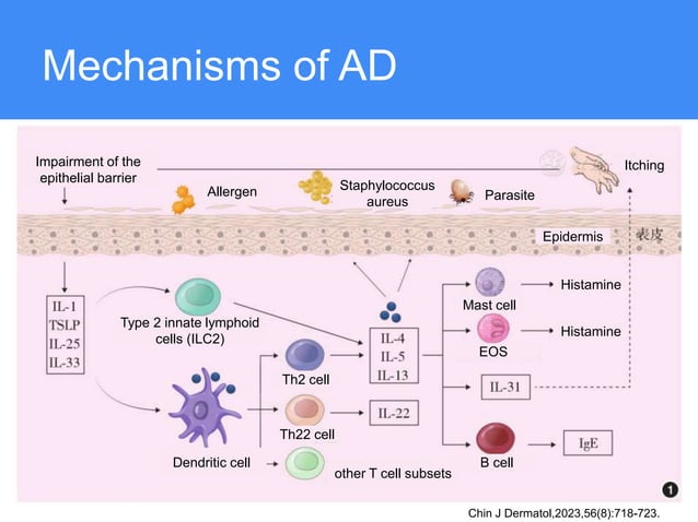 Novel Advances in Targeted Therapy for Atopic Dermatitis.ppt | Skin and ...