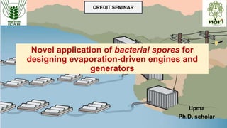 Novel application of bacterial spores for designing evaporation driven ...