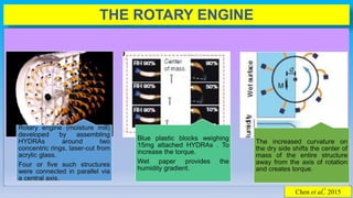 Novel application of bacterial spores for designing evaporation driven ...