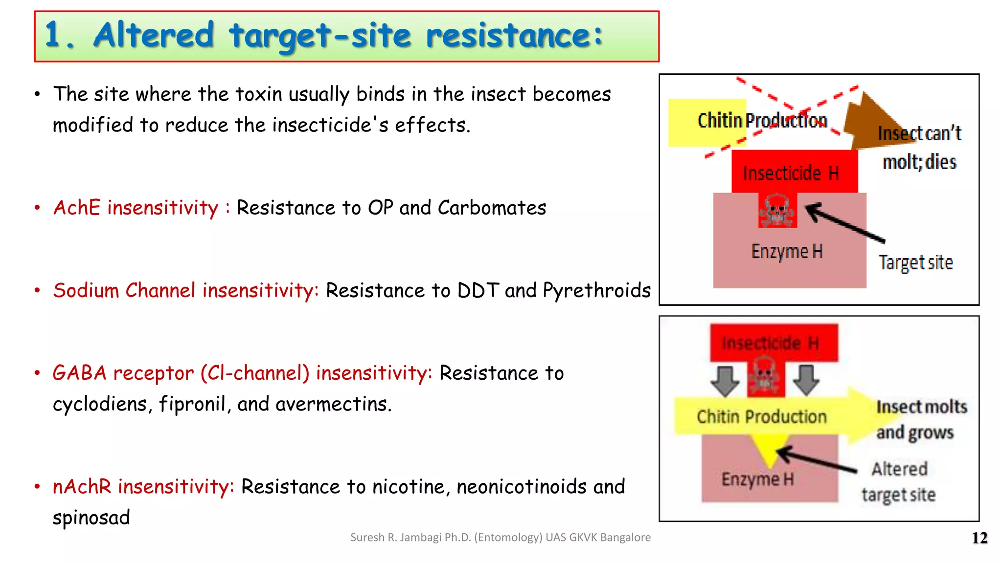 Novel Approaches in Insecticide Resistance Management (IRM) | PPTX