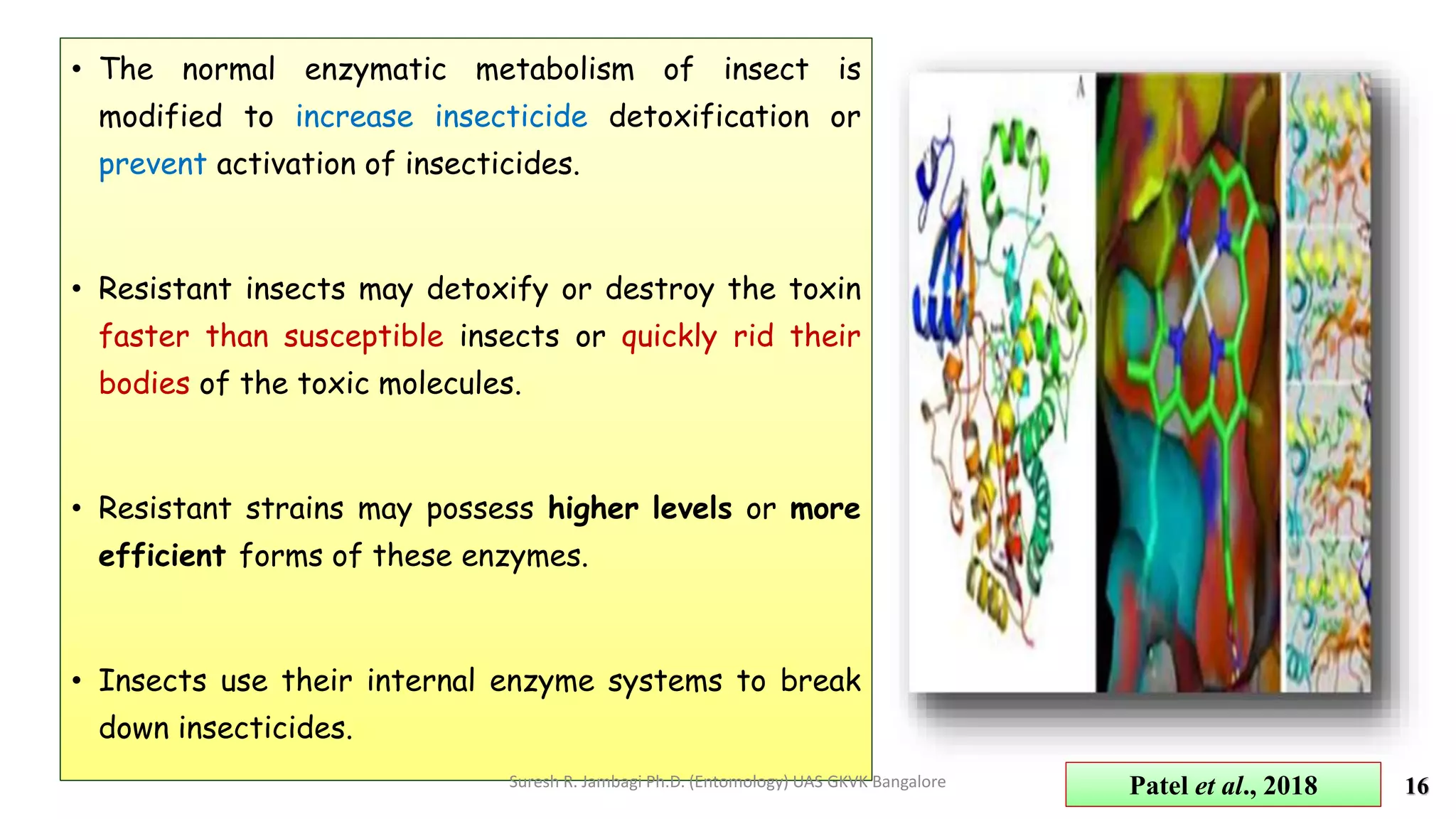 Novel Approaches in Insecticide Resistance Management (IRM) | PPTX
