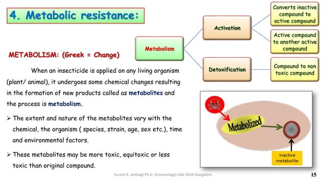Novel Approaches in Insecticide Resistance Management (IRM) | PPTX | Endocrine and Metabolic ...